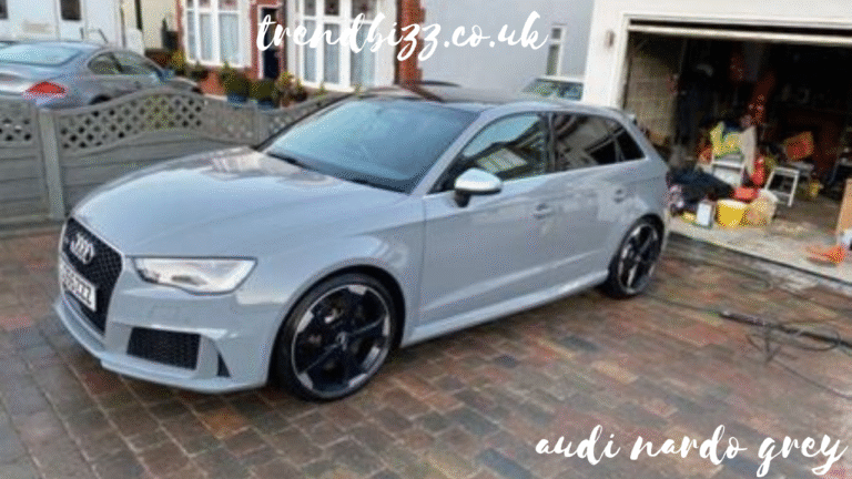 Audi Nardo Grey?? Everything You Need to Know About the Iconic Audi ...