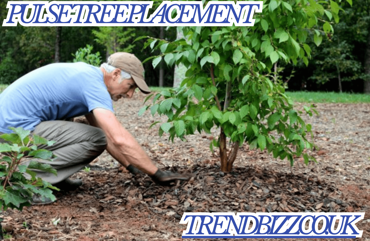 Pulse Tree Placement, ?? Understanding the Right Way to Plant and ...