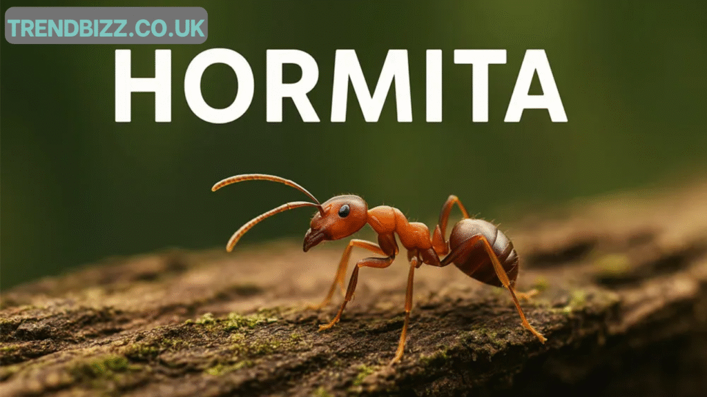 RWC Report in Safety, Importance, and Implementation: What Is RWC ...